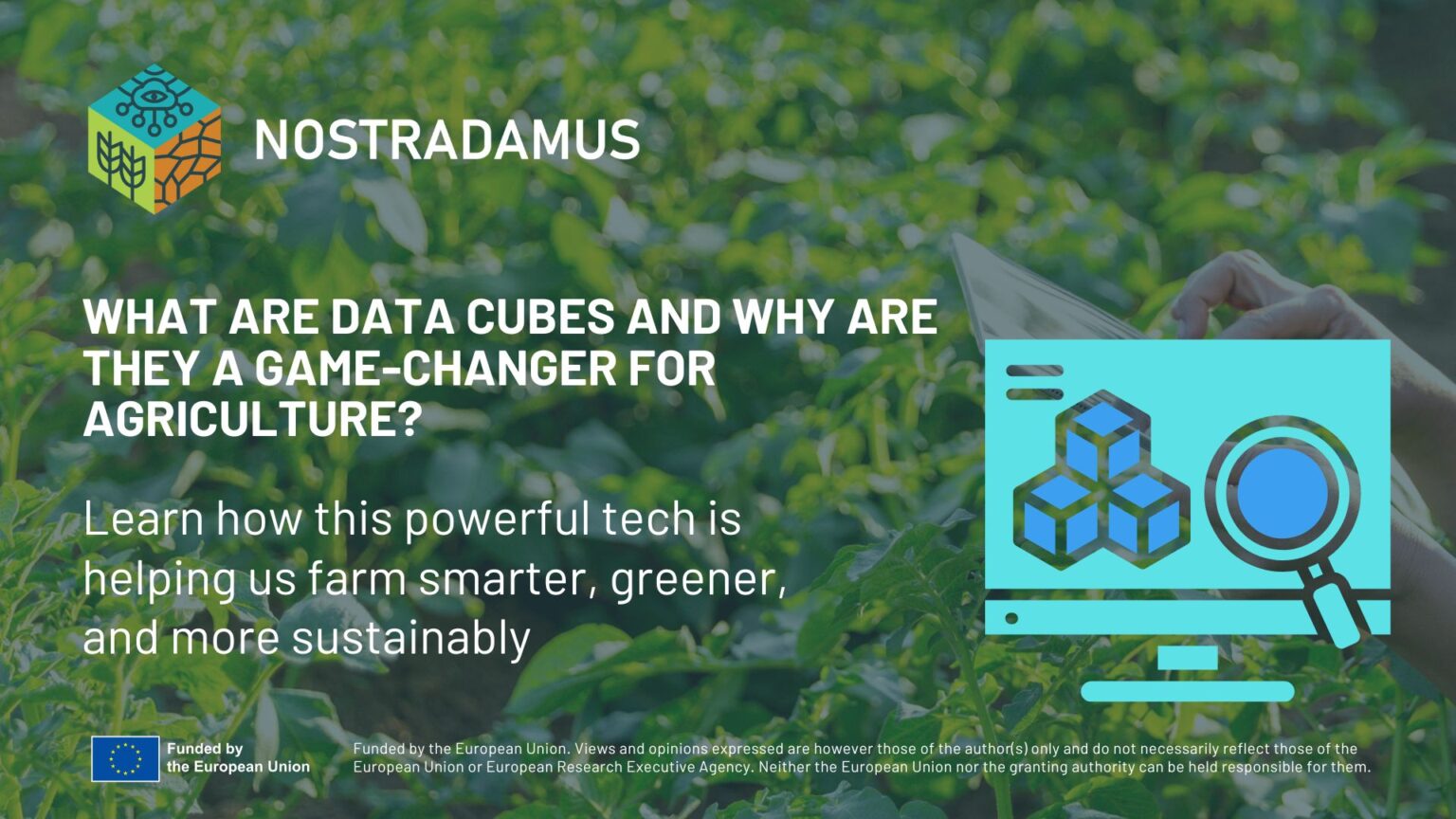 What Are Data Cubes — And Why They Matter for Smart Agriculture – Nostradamus